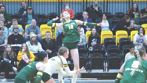 Michigan Tech beats Northern Michigan University Wildcats volleyball ...